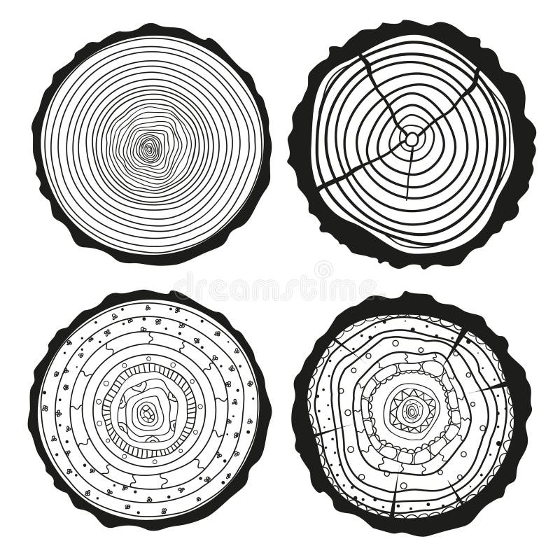 Set a Cross Section of the Trunk with Tree Rings. Vector. Logo. Tree ...