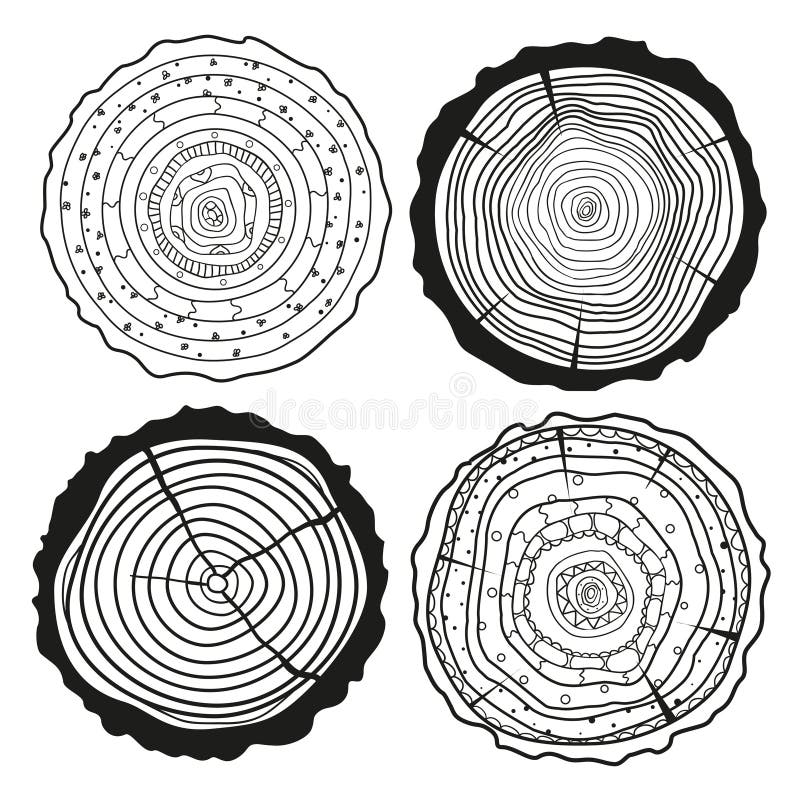 Tree Rings. Set of Cross Section Stock Vector - Illustration of ...