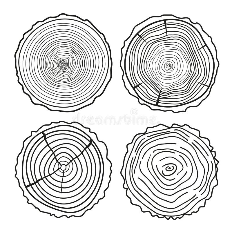 Tree Rings. Set of Cross Section of the Tree Stock Vector ...