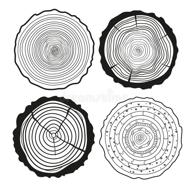 Vector Conceptual Background Tree Rings Stock Illustrations – 451 ...