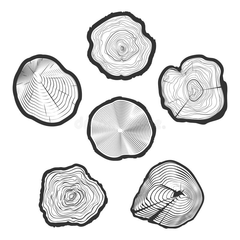 Tree-rings vector set stock vector. Illustration of firewood - 76200455
