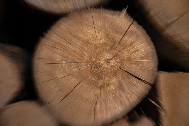 Tree Rings Wood Texture with the Cross-section of a Cut Log. Stock ... Tree Rings Wood Texture with the Cross-section of a Cut Log. Stock ...