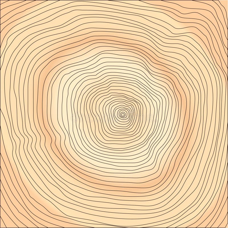 Tree Rings, Cut Stump with Forest Trees. Vector Stock Vector ...