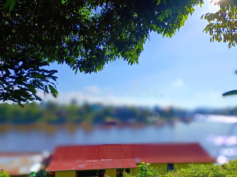 Tree and river stock image. Image of evening, river - 267632619