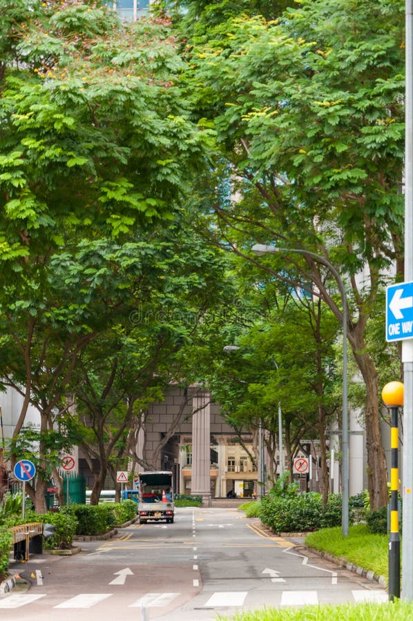 Tree road in city stock image. Image of outdoor, city - 73196599