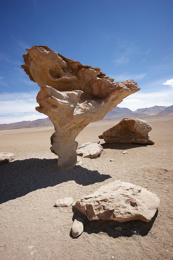 Tree rock stock photo. Image of uyuni, sand, erosion - 25358264