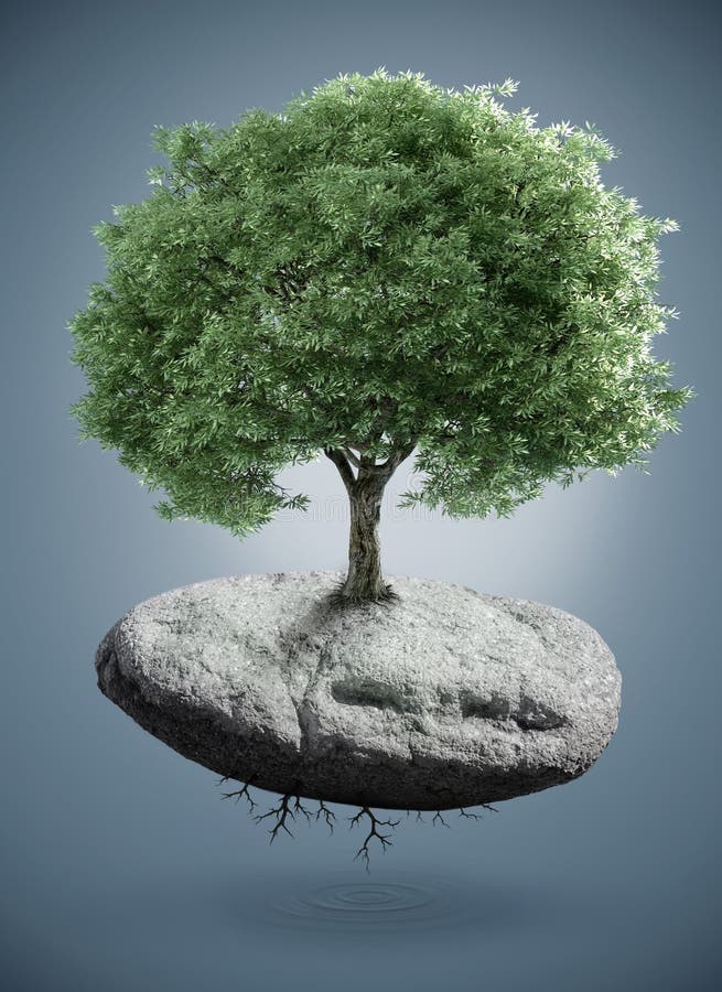 A tree on a rock stock illustration. Illustration of decline - 18221410