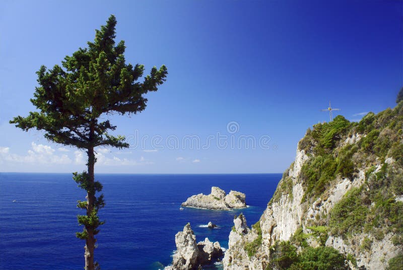 Tree and Rocks on the Cliff Coast Stock Photo - Image of landscape ...