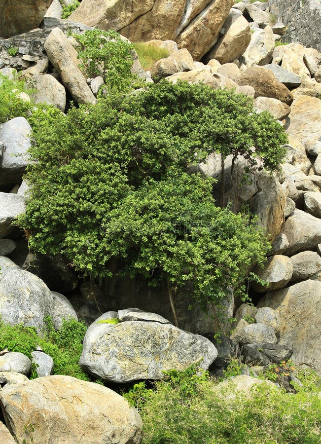 Red Rocks on the Hill stock photo. Image of hillside - 141929442