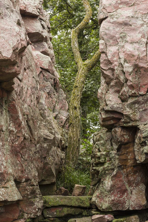 Voyageurs National Park stock photo. Image of scenery - 33977748