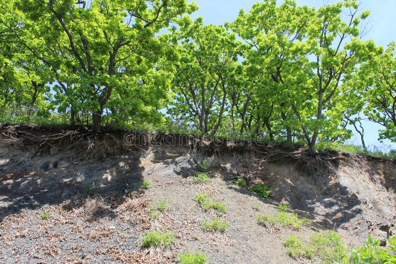 Rocky declivity stock image. Image of eruptions, nations - 189877259