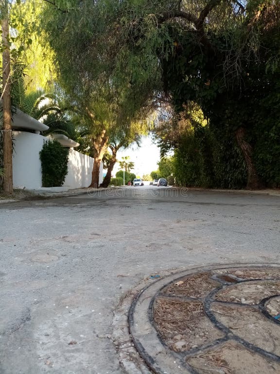 Tree rode stock photo. Image of rode, evening, street - 160323372