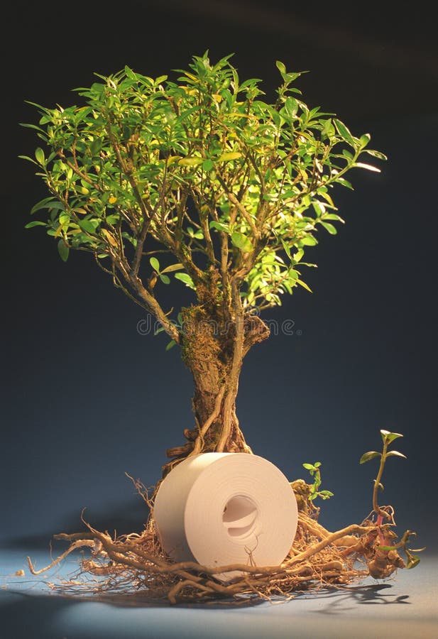 77,654 Tree Roots Stock Photos - Free & Royalty-Free Stock Photos from ...