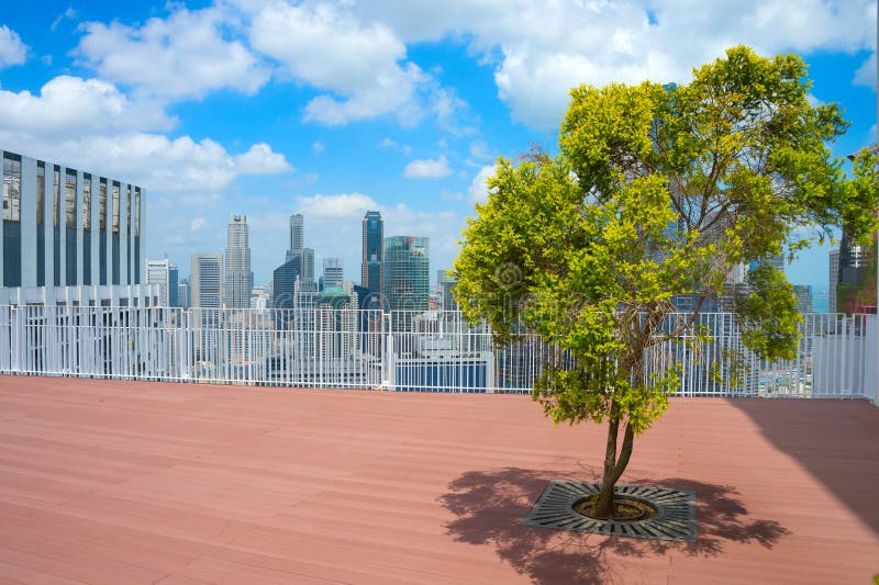 Tree Roof Top Skyscraper Singapore Stock Image - Image of leisure ...