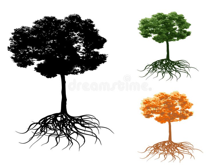 Tree Root Underground Stock Illustrations – 1,396 Tree Root Underground ...