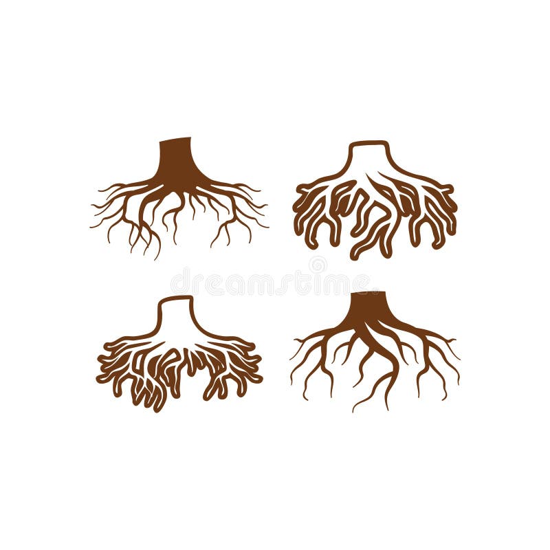Tree Root Icon Design Set Bundle Template Isolated Stock Vector ...