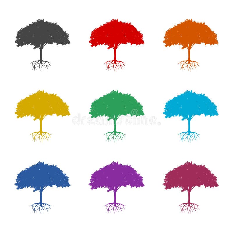 Tree Root Icon or Logo, Color Set Stock Vector - Illustration of ...
