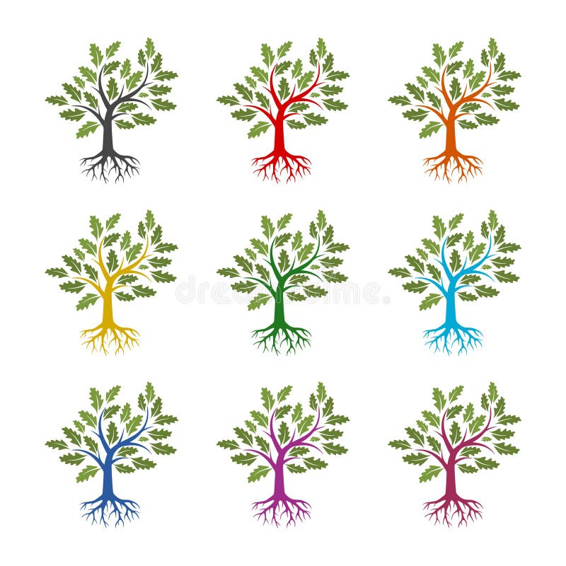 Tree and Root Icon or Logo, Color Set Stock Vector - Illustration of ...