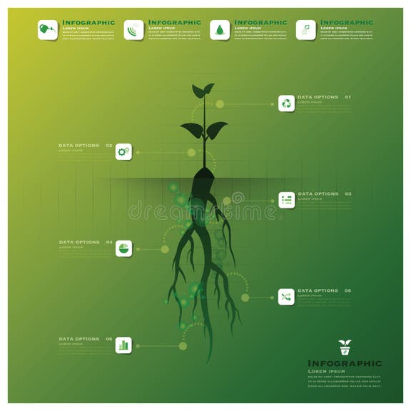 Tree and Root Infographic Design Template Stock Vector - Illustration ...