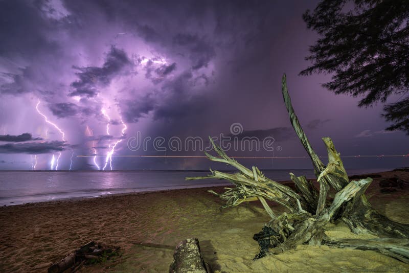 Crazy Lightning Tree Stock Photos - Free & Royalty-Free Stock Photos ...