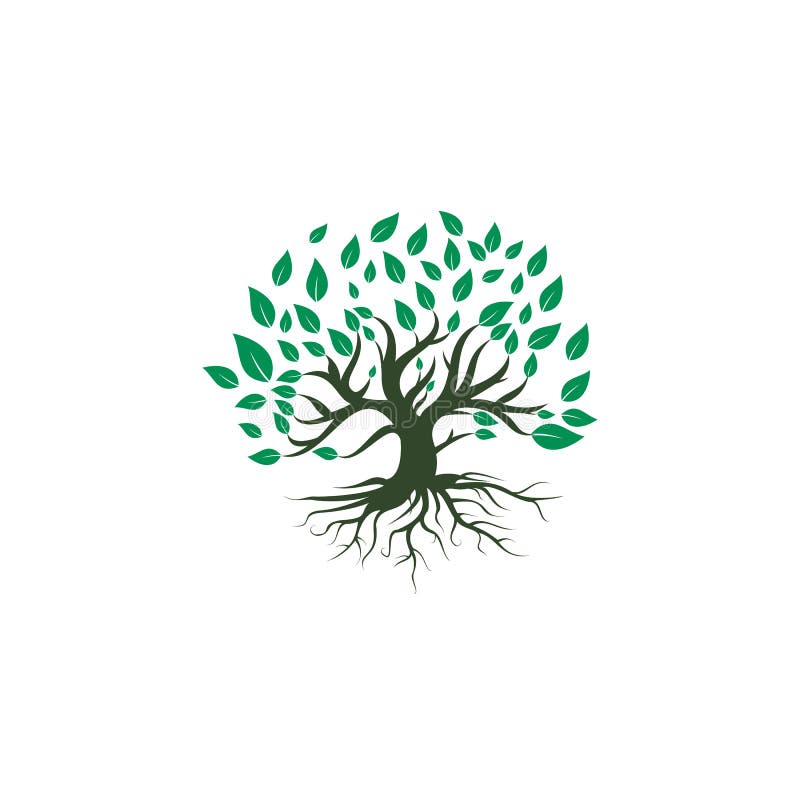 Tree Root Logo Vector Design Illustration. Stock Vector - Illustration ...