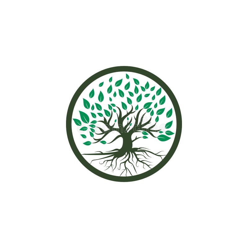 Tree Root Logo Vector Design Illustration. Stock Vector - Illustration ...