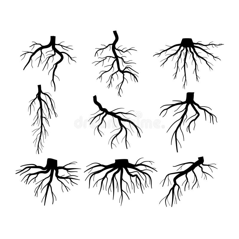 Tree Root Set Cartoon Vector Illustration Stock Vector - Illustration ...