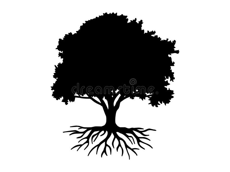 Tree and Root Silhouette Isolated on White Background. Tree and Roots ...