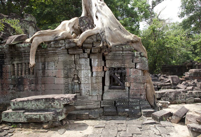Tree Root Splitting and Retaining Entrance Walls Stock Photo - Image of ...