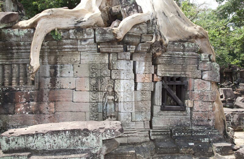 Tree Root Splitting and Retaining Entrance Walls Stock Photo - Image of ...
