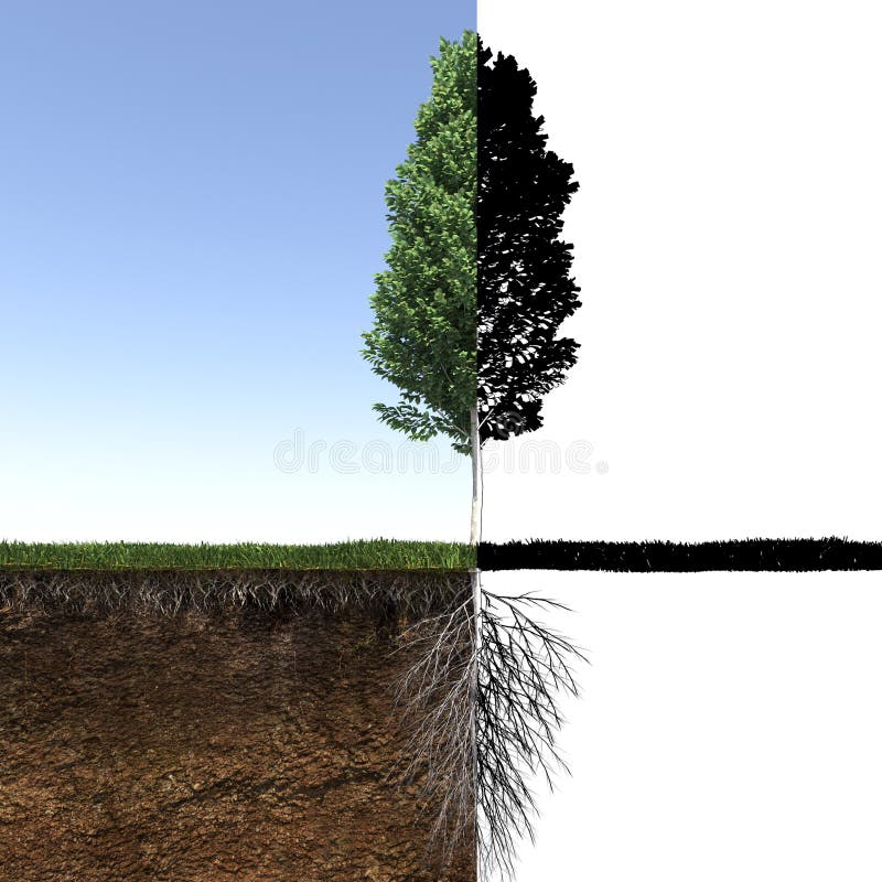 Tree with Strong and Deep Roots, 3d Render Stock Illustration ...