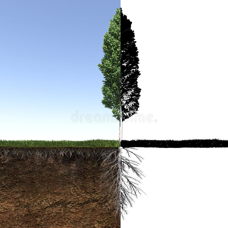 Tree with Strong and Deep Roots, 3d Render Stock Illustration ...