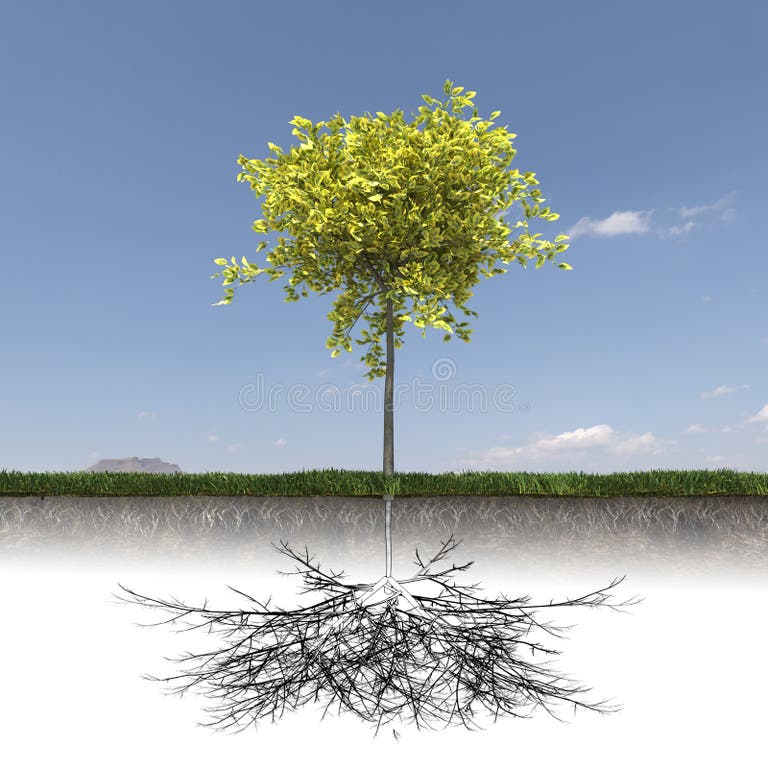 Tree with Strong and Deep Roots, 3d Render Stock Illustration ...