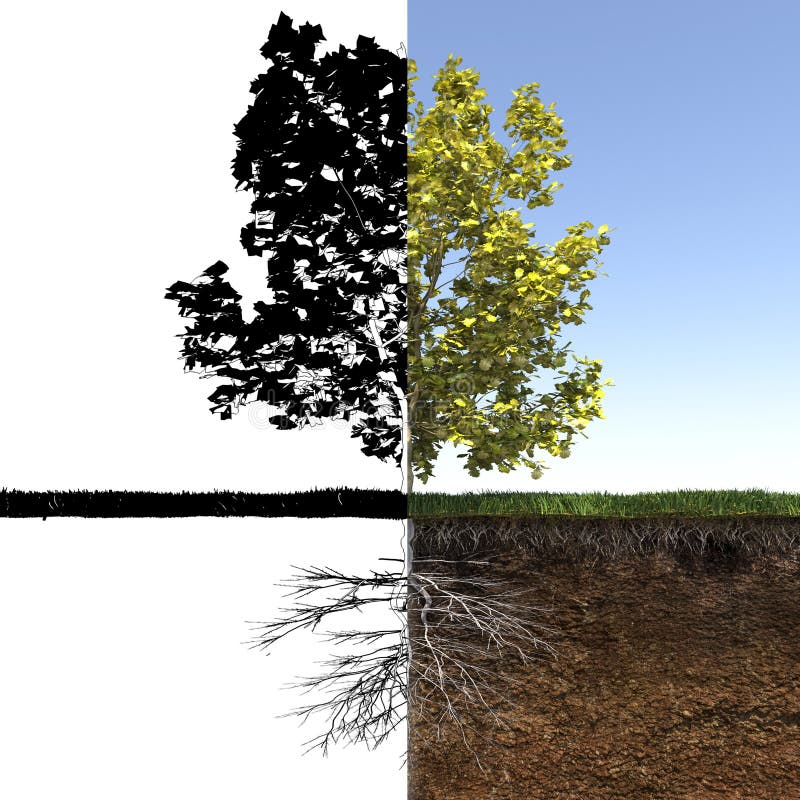 Tree with Strong and Deep Roots, 3d Render Stock Illustration ...