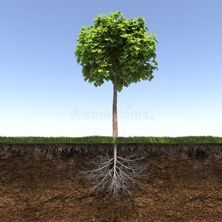 Tree with Strong and Deep Roots, 3d Render Stock Illustration ...