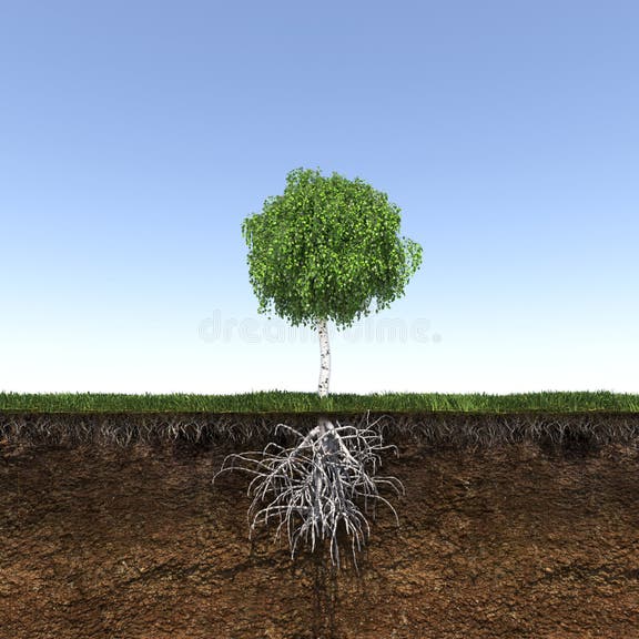 Tree with Strong and Deep Roots, 3d Render Stock Illustration ...