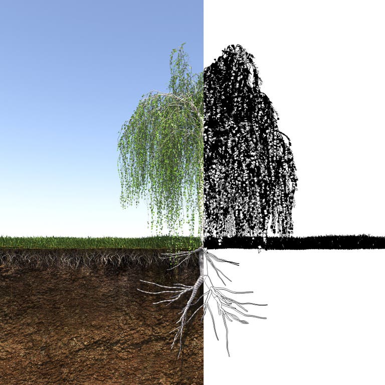 Tree with Strong and Deep Roots, 3d Render Stock Illustration ...