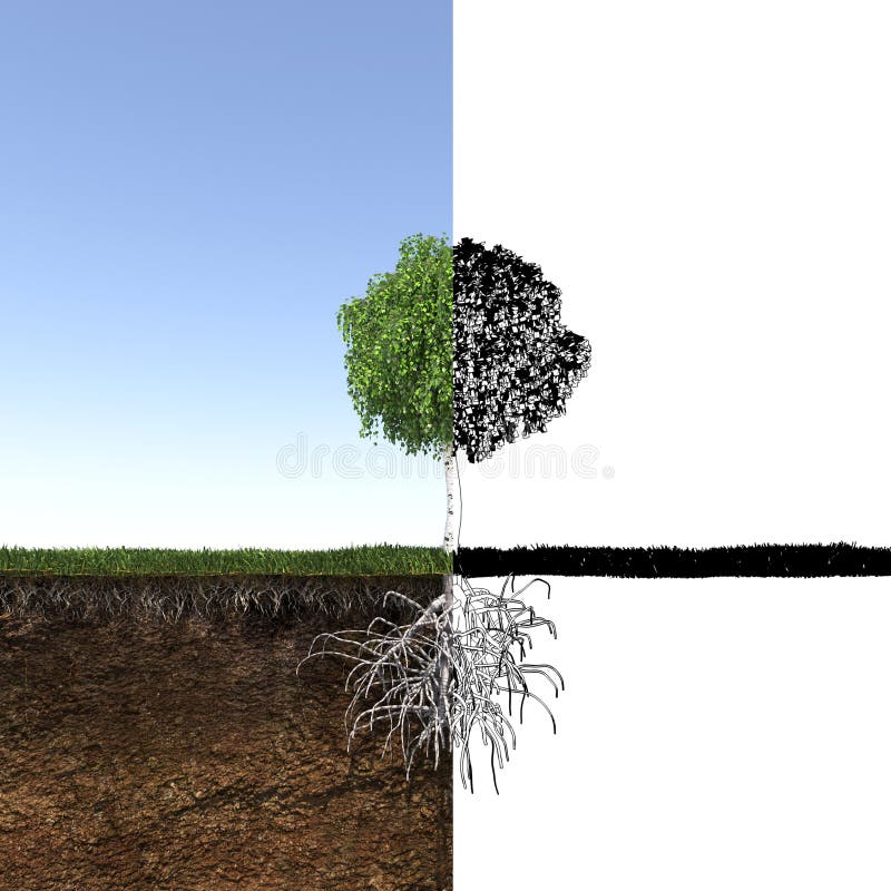 Tree with Strong and Deep Roots, 3d Render Stock Illustration ...