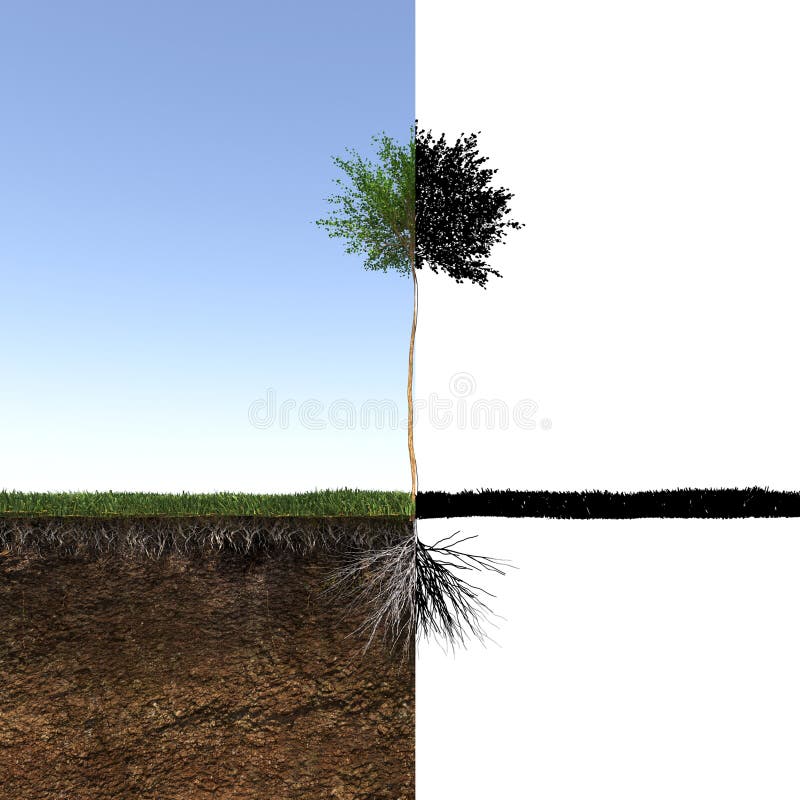 Tree with Strong and Deep Roots, 3d Render Stock Illustration ...