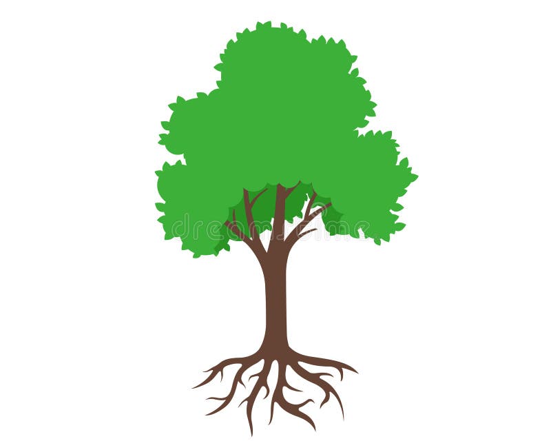 Tree and root system. stock vector. Illustration of abstract - 298181306