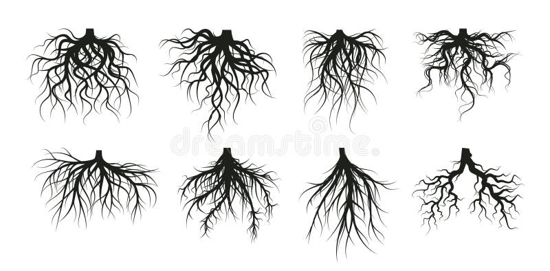 Root System Logo Stock Illustrations – 693 Root System Logo Stock ...