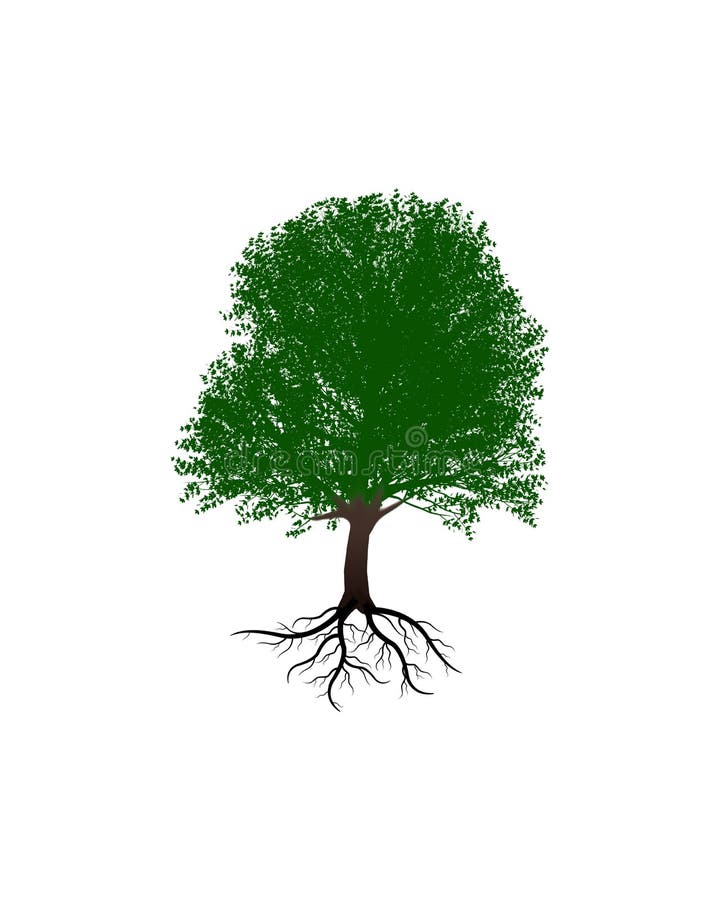 Tree with roots stock vector. Illustration of plant, roots - 1865746