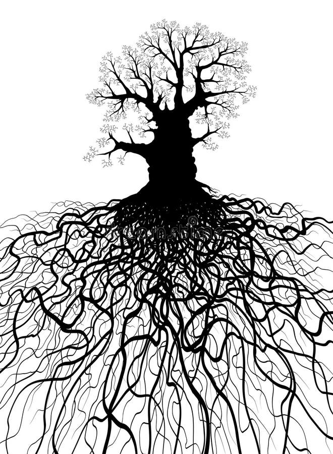 Roots of a banyan tree stock photo. Image of powerful - 9703318 Roots of a banyan tree stock photo. Image of powerful - 9703318