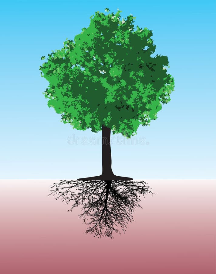 Tree with roots stock illustration. Illustration of green - 43513121