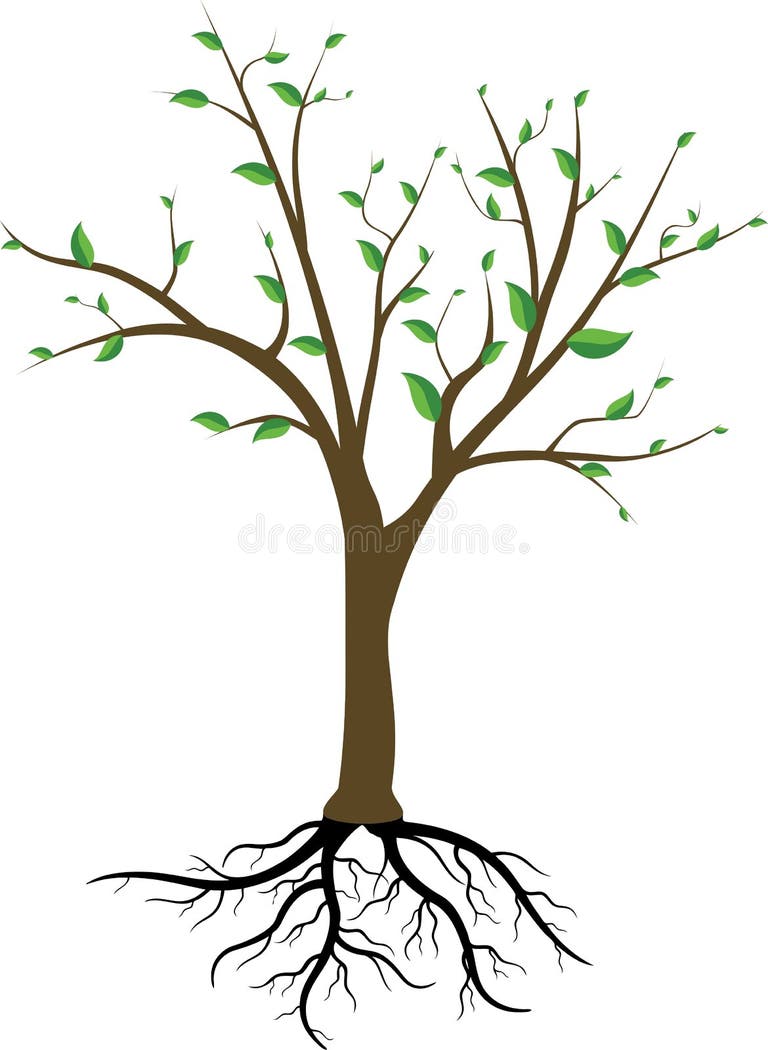 Rooted Trees Stock Illustrations – 160 Rooted Trees Stock Illustrations ...