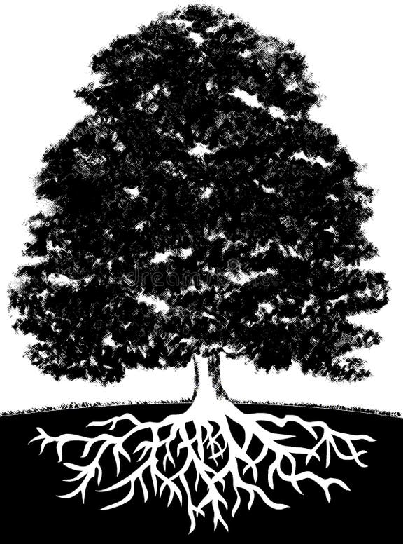 Tree Roots Sketch Stock Illustrations – 2,899 Tree Roots Sketch Stock ...