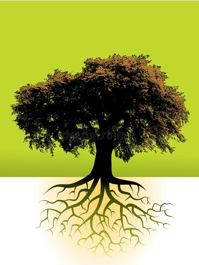 Tree with roots stock vector. Illustration of deep, limbs - 26741579 Tree with roots stock vector. Illustration of deep, limbs - 26741579