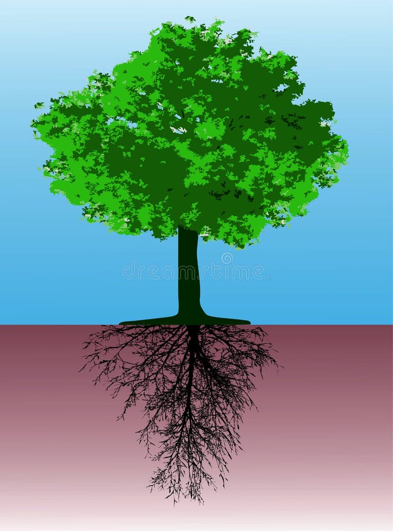 Clip Art Tree Roots Stock Illustrations – 1,006 Clip Art Tree Roots ...