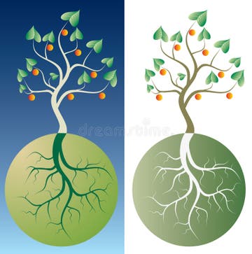 Maple Tree Roots Stock Illustrations – 907 Maple Tree Roots Stock ...