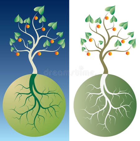 Maple Tree Roots Stock Illustrations – 664 Maple Tree Roots Stock ...